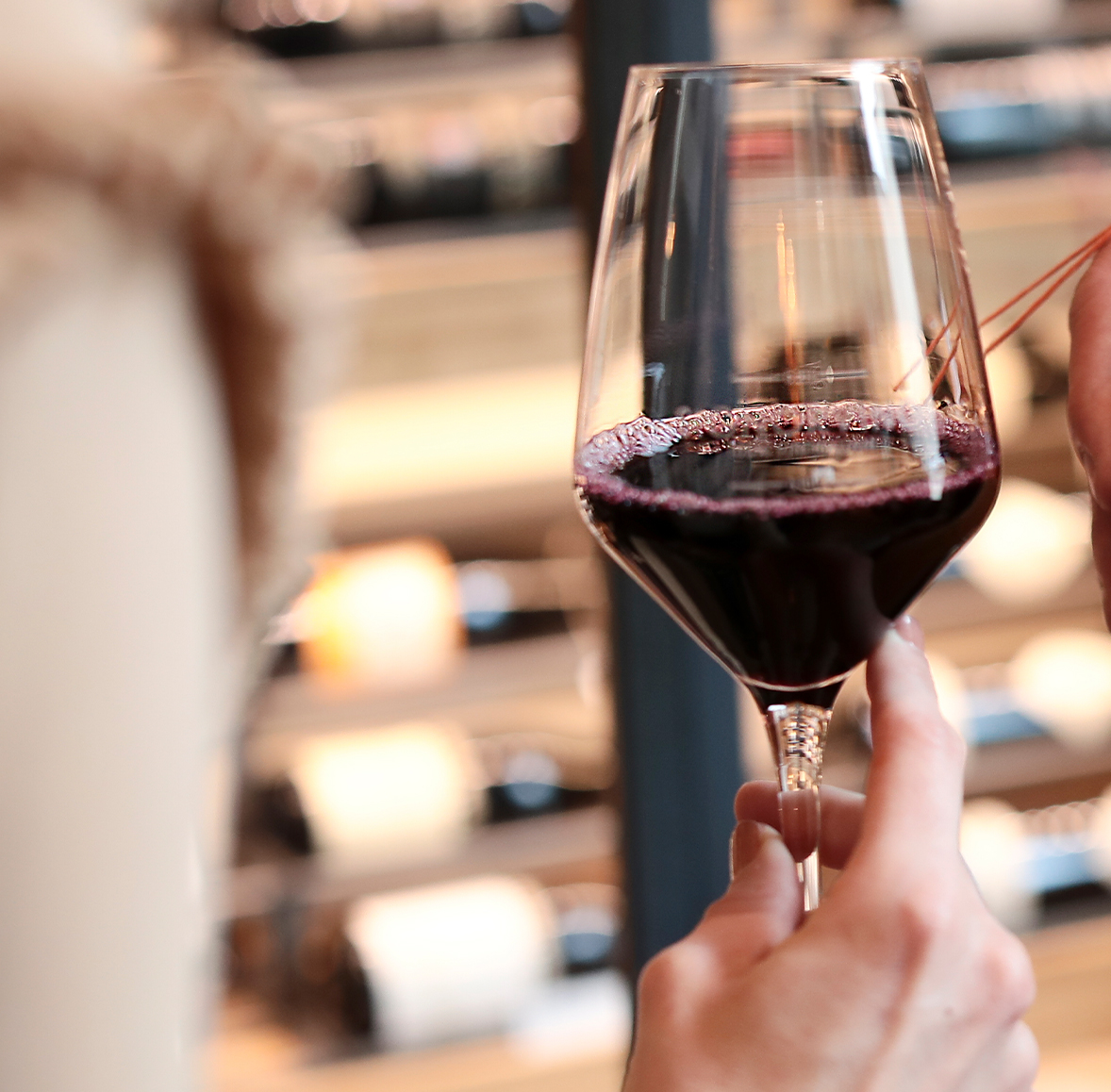 Quick Wine Lesson at Dorothy Logan blog